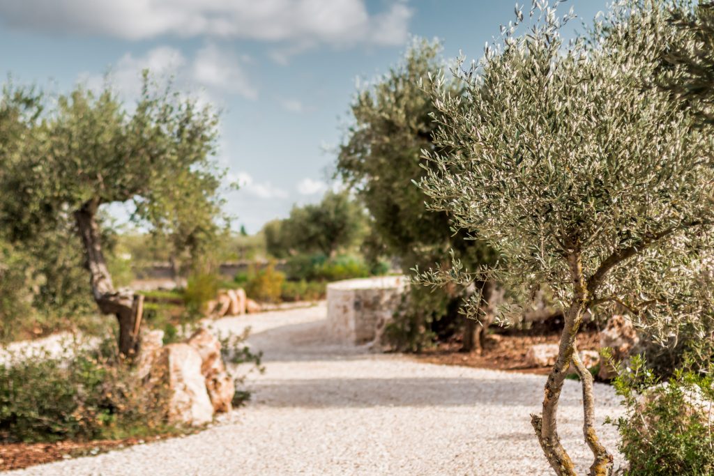 Trullo Mo’ – Mo'